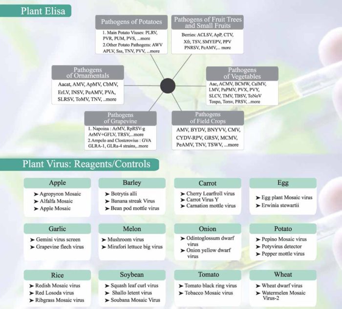 Agribiotech / Agri Diagnostics : Everon Life Sciences